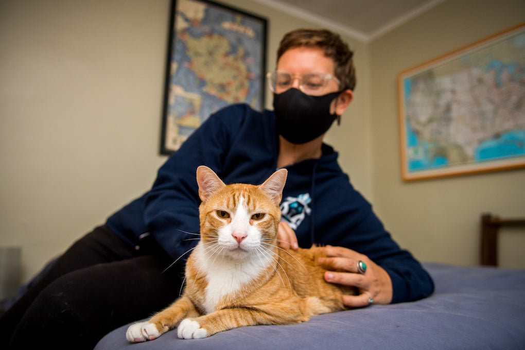 How to be Extra with Your Cat – Queenie's Pets®