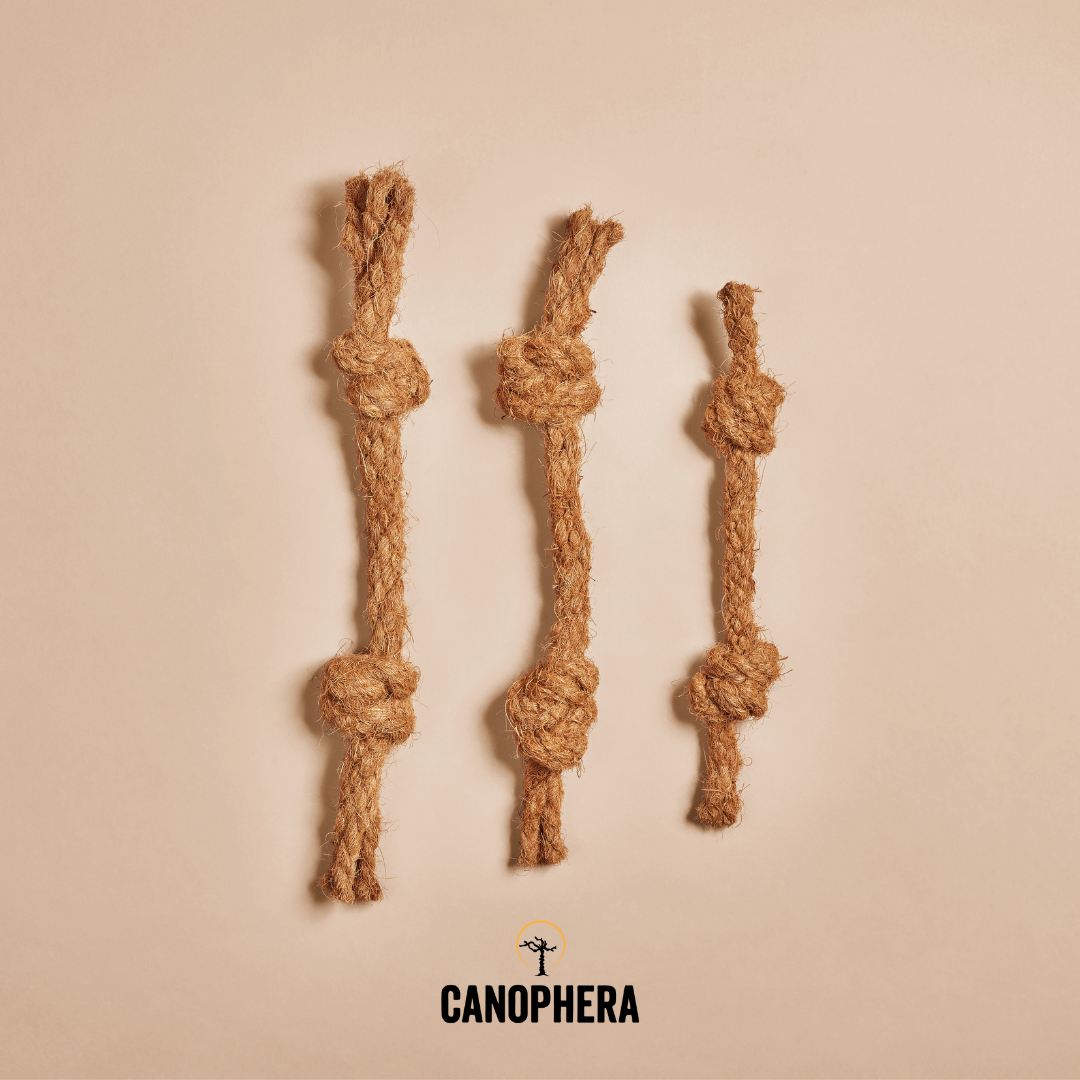 Canophera - Coconut Fiber Chew Toy - Cocobone – Queenie's Pets®