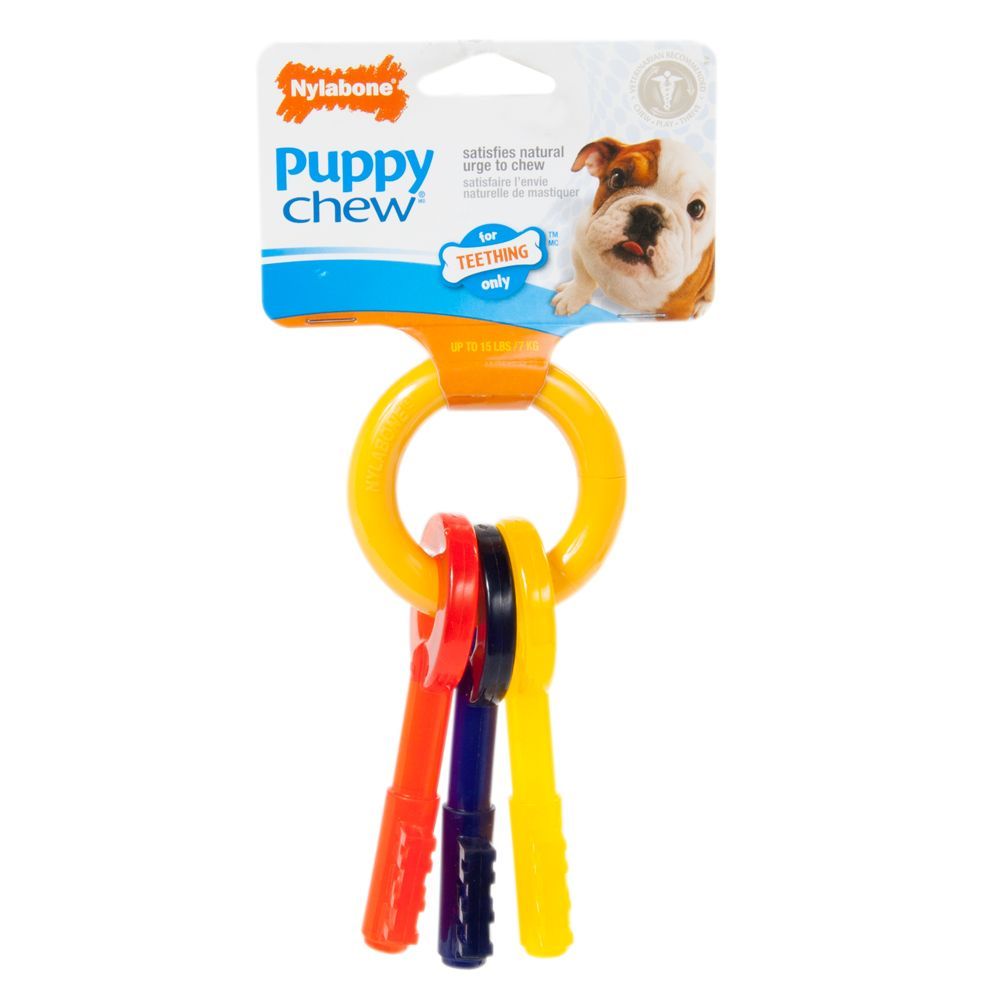 Nylabone - Teething Keys Puppy Chew Toy – Queenie's Pets®